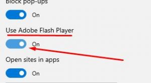 How to Enable Flash in Chrome | Drivers.com